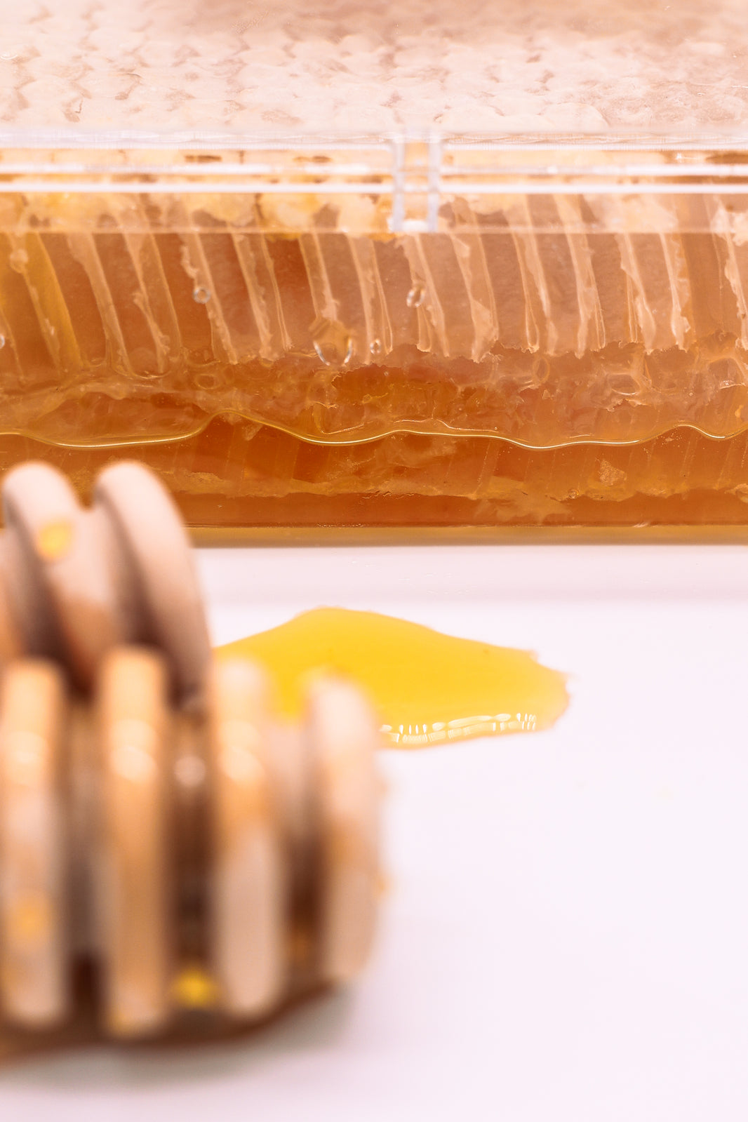 Raw Honeycombs | Honeycomb for Sale | Bell Honey